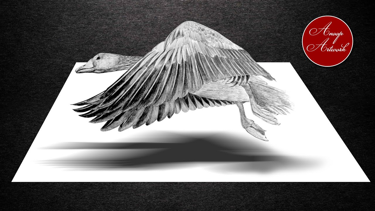 Pencil Drawing a 3D Flying Bird || How to Draw a Greylag Goose bird ...
