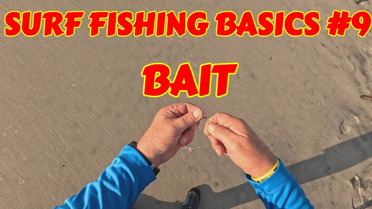 Surf Fishing Basics Episode #9 **Bait** - YouTube