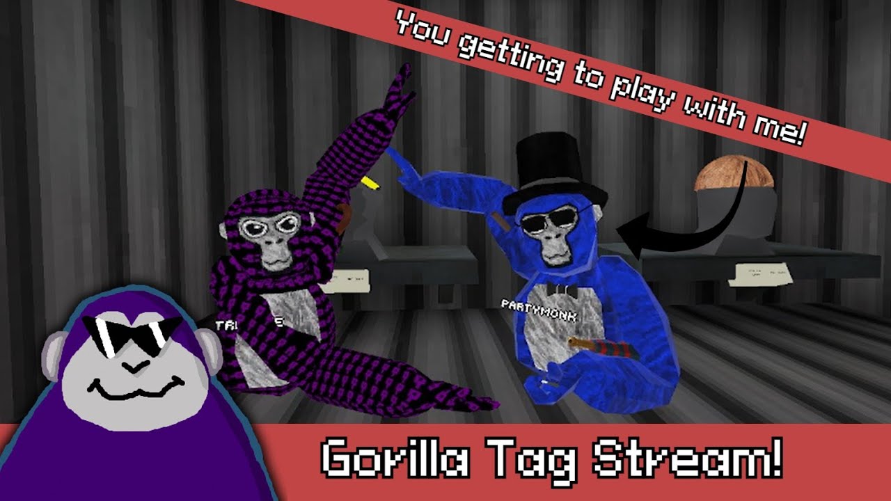 Playing Gtag with Fans! - YouTube