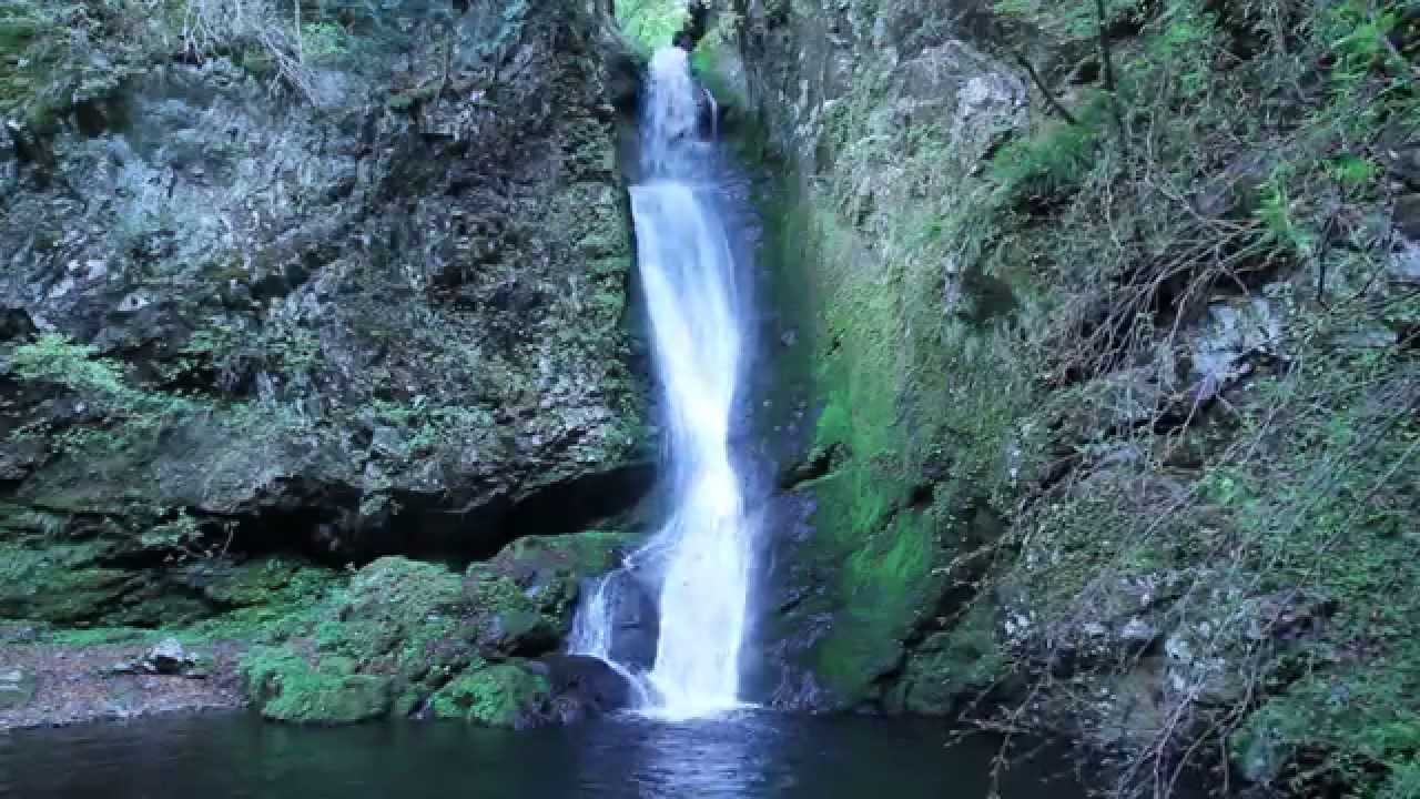 Waterfall from Japan : Ootaki Waterfall from Okutama, Tokyo - YouTube