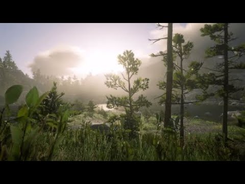 Red Dead Redemption 2 Cinematic shots of the grizzlies - YouTube