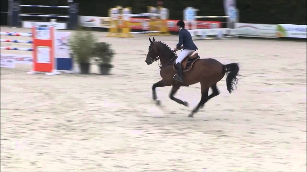 Grand National d'Auvers - Jerome Hurel et Ohm de Ponthual - Ecurie Ar ...