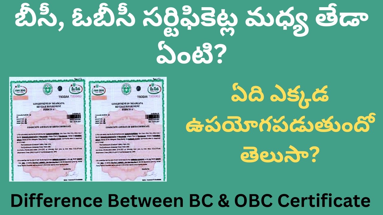 What is BC & OBC Certificate? Difference Explained in Simple Terms ...