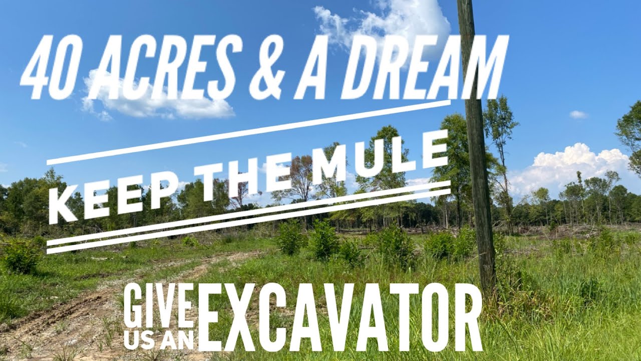 Tour of our raw undeveloped land! - YouTube