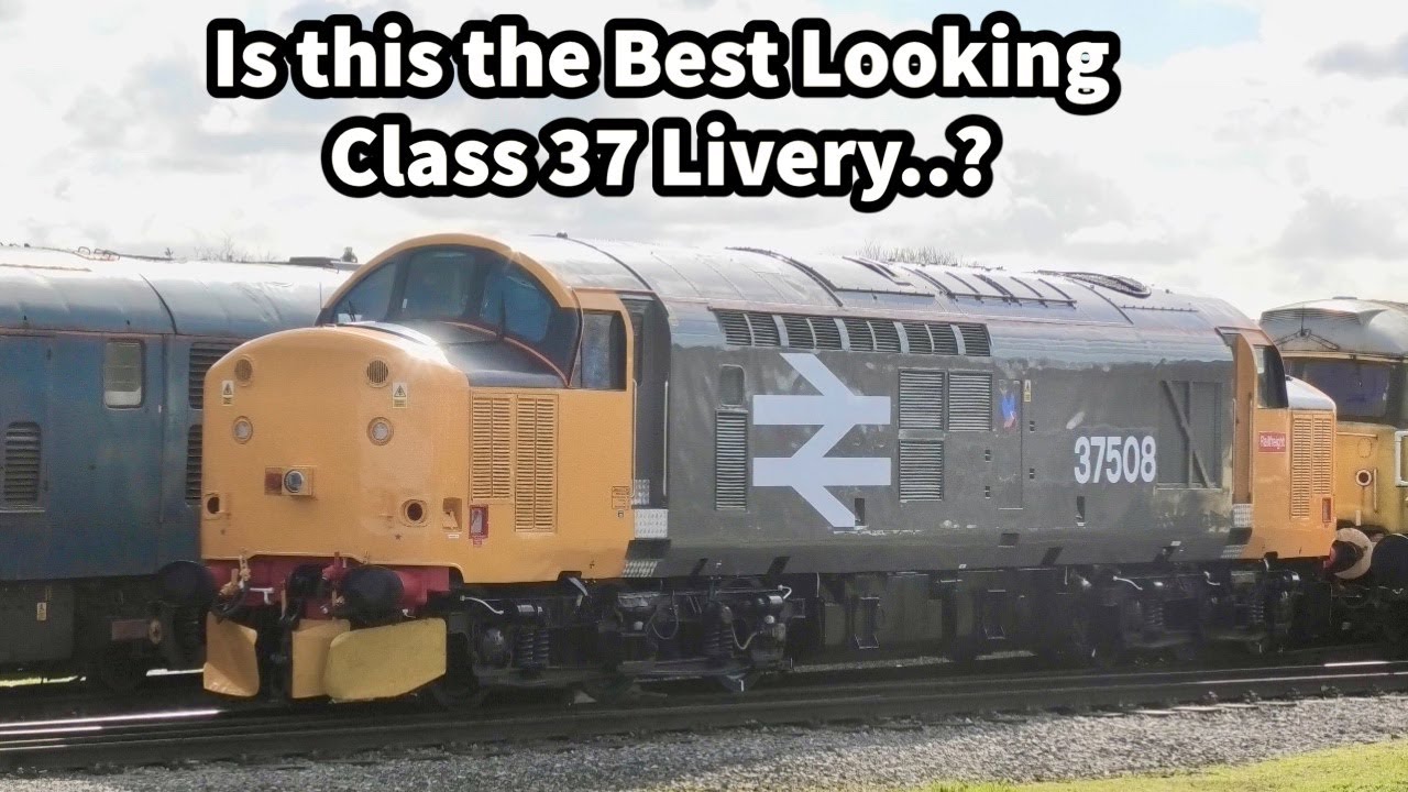 Is this the BEST LOOKING Class 37 Livery...? - YouTube