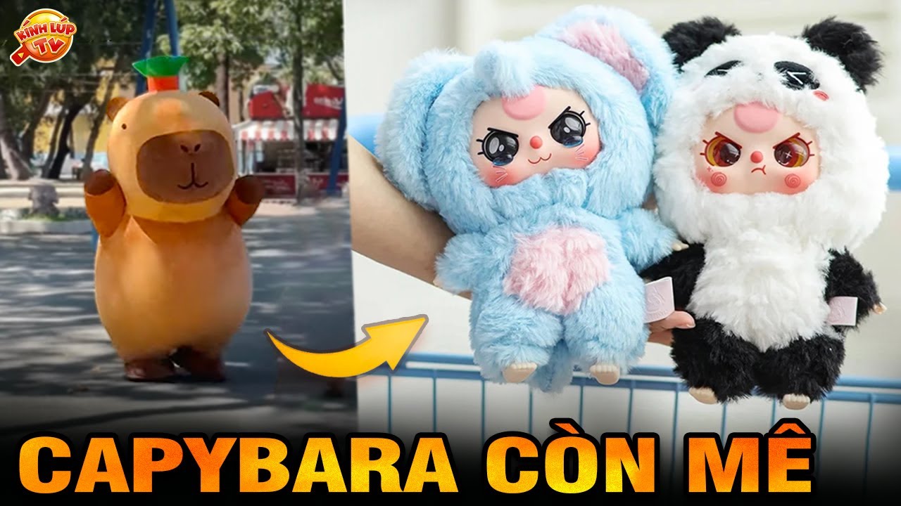 🔥 8 Bí Ẩn Thú Vị về Bé Ba Baby Three và Những Hot Trend Đang Làm Mưa ...