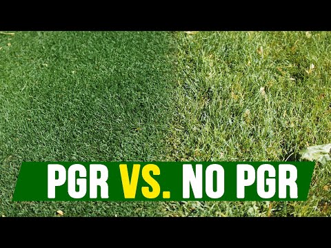 What Is Plant Growth Inhibitor