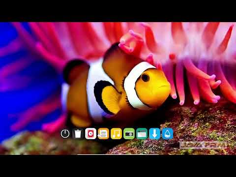 Material Taskbar Rainmeter Skin Customization on Windows 11 using ...