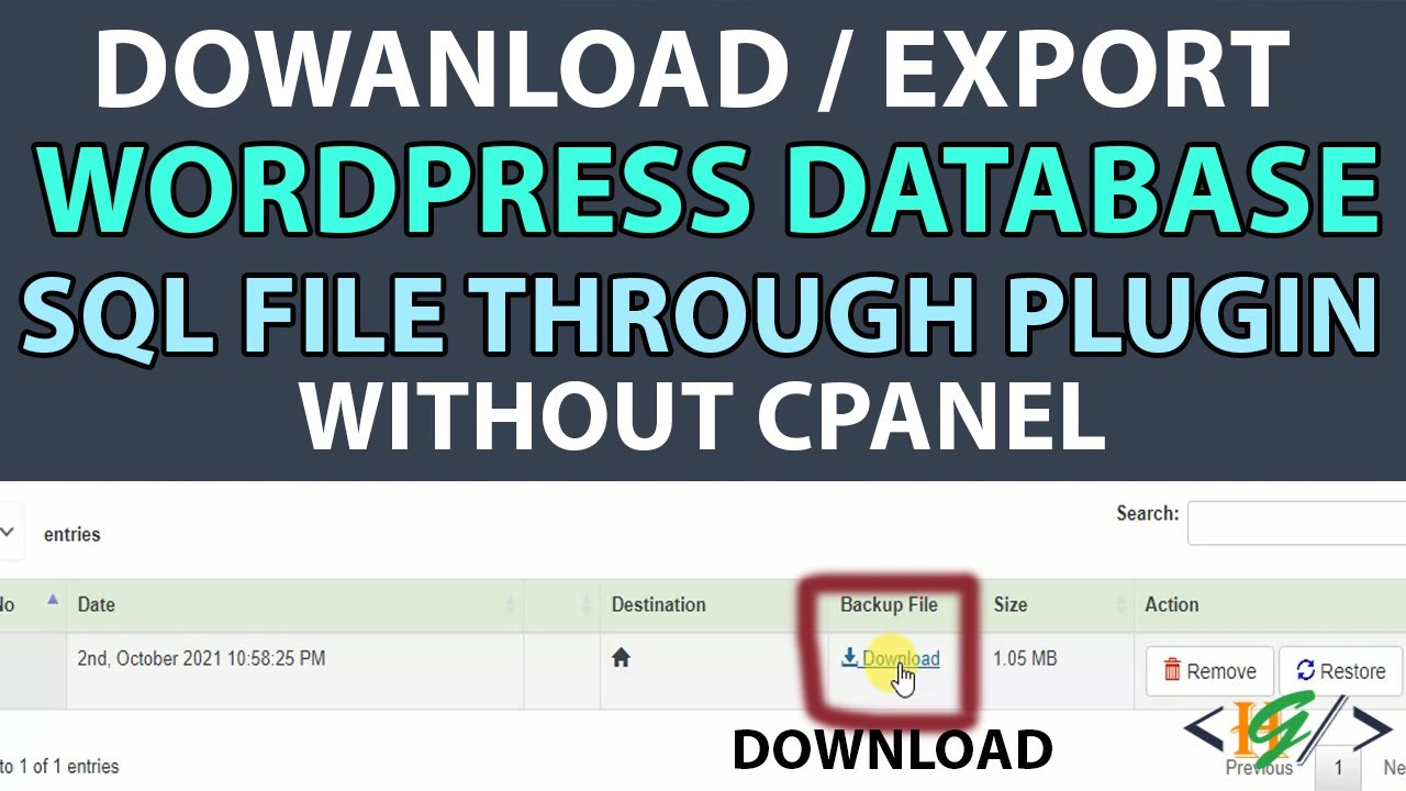 How to Export WordPress Database in dashboard through plugin - YouTube