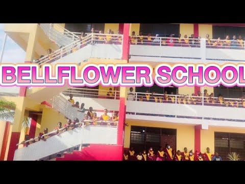 Bellflower School in Adenta Dodowa Best growing School ☎️ 0543880490 ...