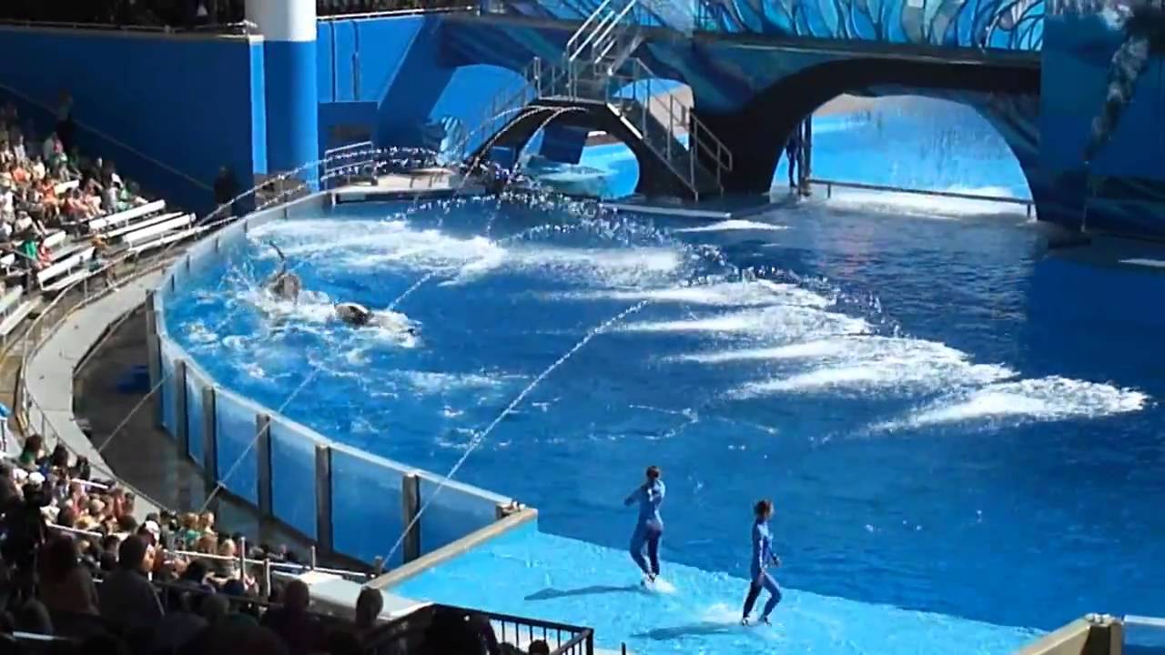 "One Ocean" Premiere - April 22, 2011 - YouTube