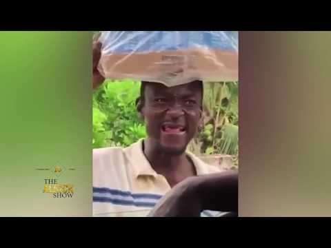 Why Are There No Monkeys In Jamaica