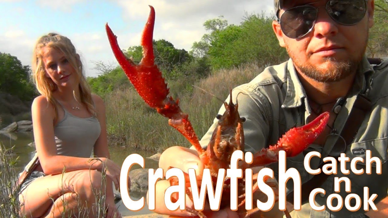 Crawfish Catch N Cook Survival -Hand Caught / Fire Grilled- Crawdads ...