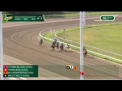 C421 LA RINCONADA CLASICO GELINOTTE 2026, FATIMA BLUSH