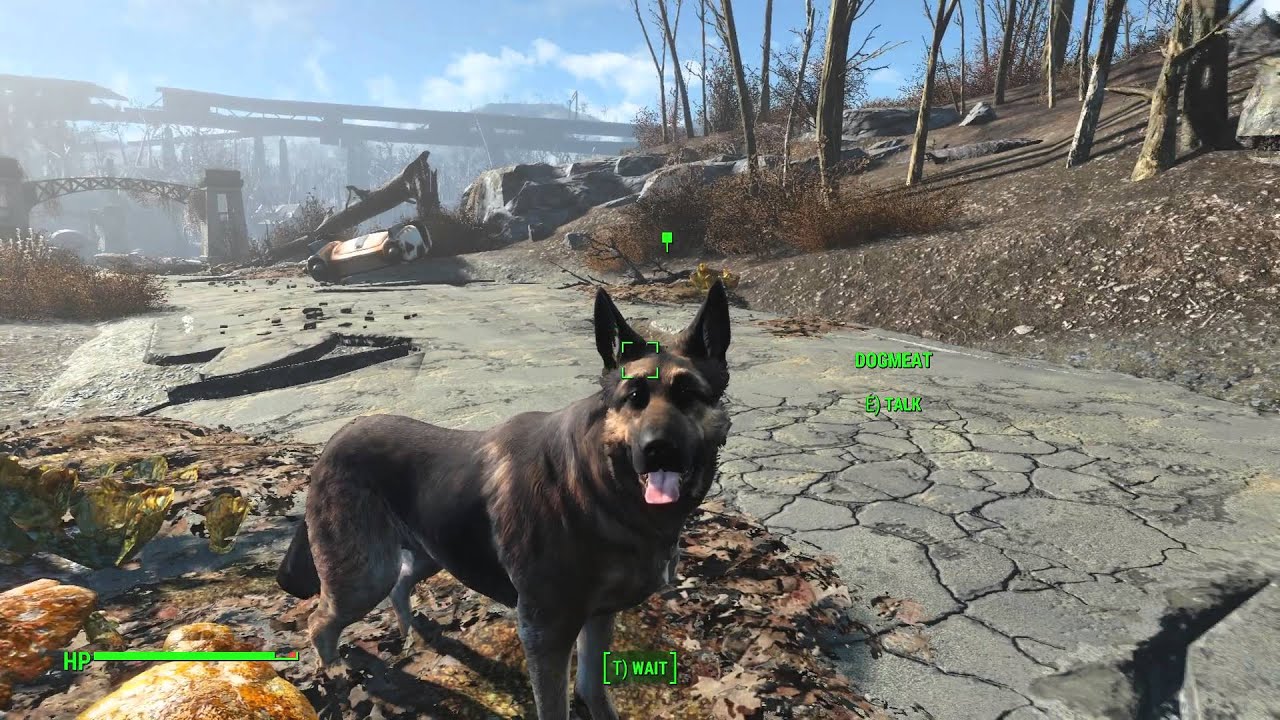 Fallout 4 - DOGMEAT PLEASE (E17) - YouTube