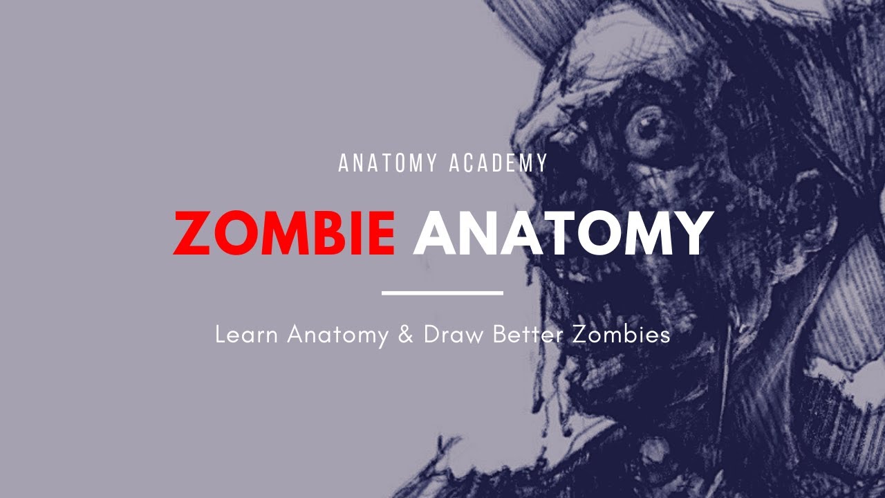 Zombie Anatomy Episode 2 - YouTube
