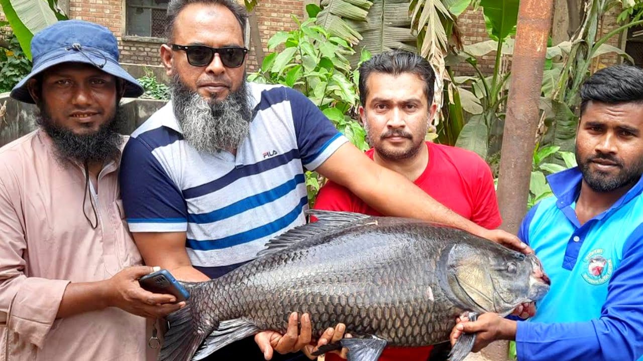 20kg বিশাল সাইজের কাতলা মাছ হিট | Dhakar Fish Lovers - YouTube