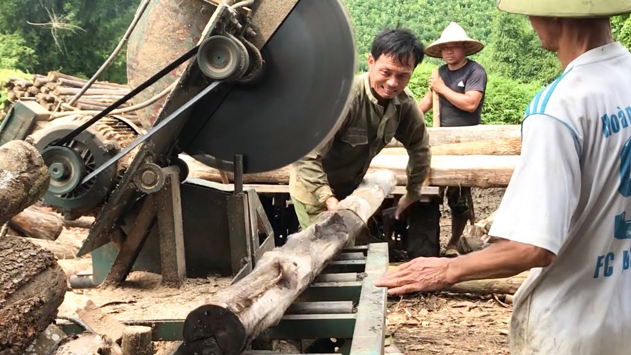 Cut wood and clean it before processing it into the boards we often use ...