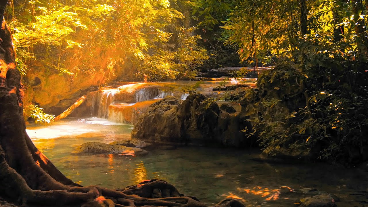 Gentle healing music for health and calming the nervous system🌿Positive ...