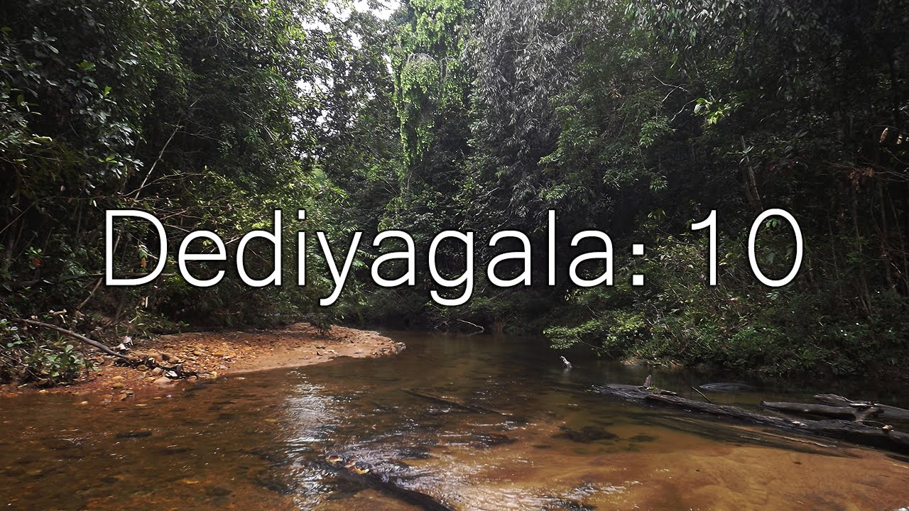 Dediyagala Forest Reserve - Documentary 10 - YouTube