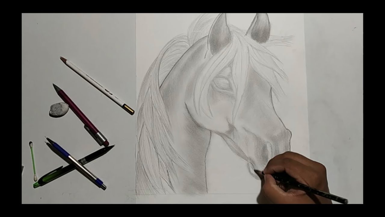 HOW TO DRAW HOURSE || SKETCH BOOK ASHU || @sketchbooksashu6163 # ...