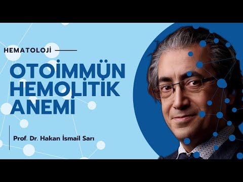 Otoimmün Hemolitik Anemi Nedir?