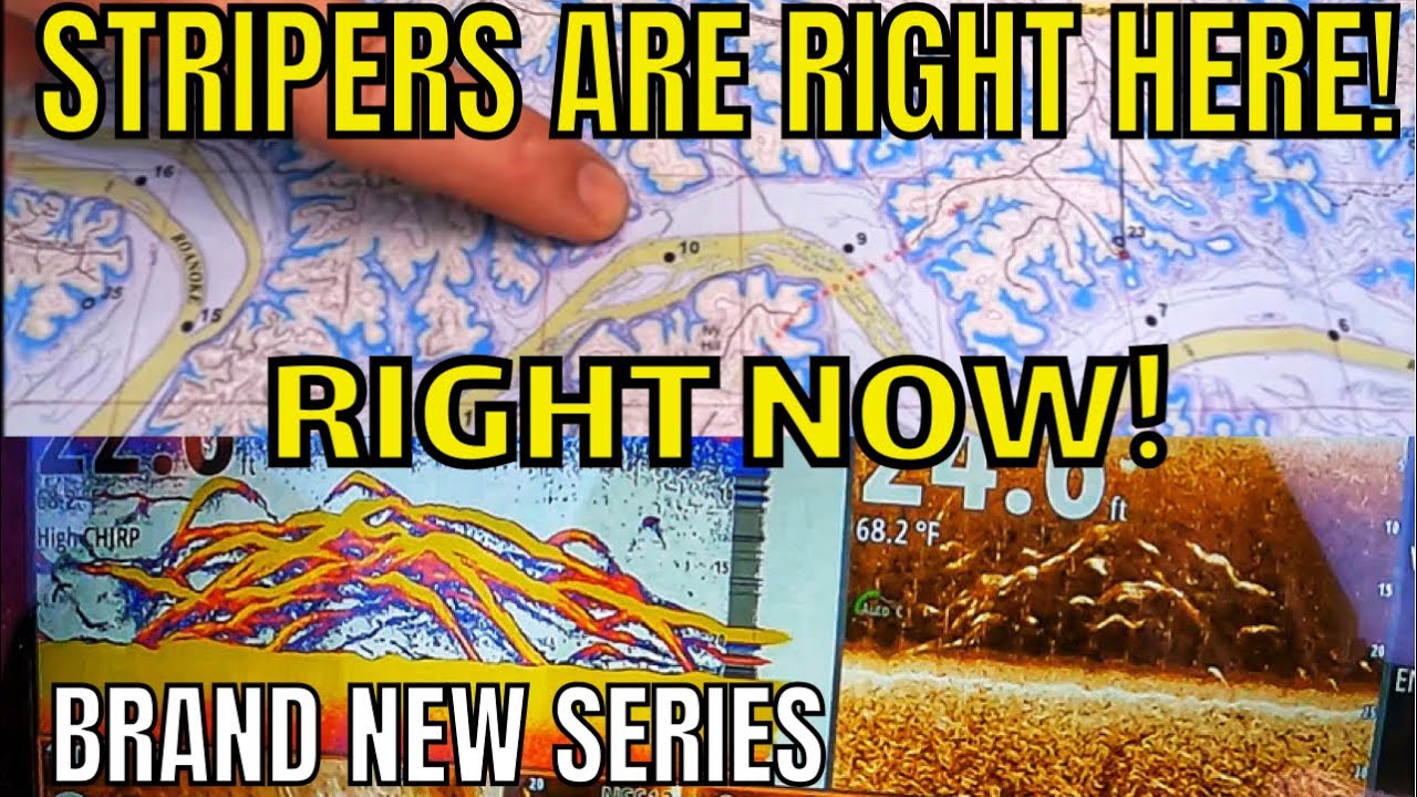 Where and How to Catch Stripers RIGHT NOW! For All Striped Bass LAKES ...