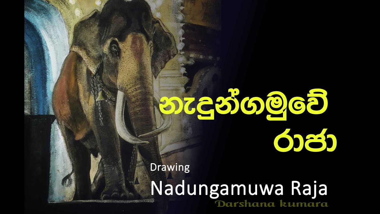 Drawing Nadungamuwa Raja Tusker - නැදුන්ගමුව රාජා by Darshana kumara ...