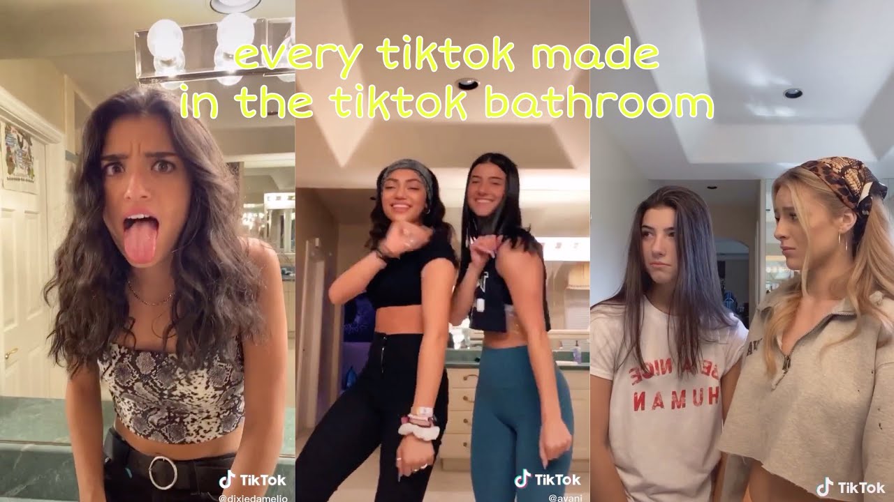 every tiktok made in the tiktok bathroom pt. 6: larray, avani, dixie ...