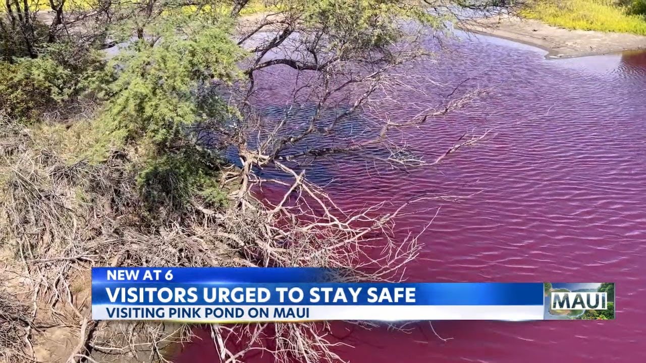 Barbie Pink Pond On Maui Is Attracting Locals And Some Are Breaking The Rules Youtube