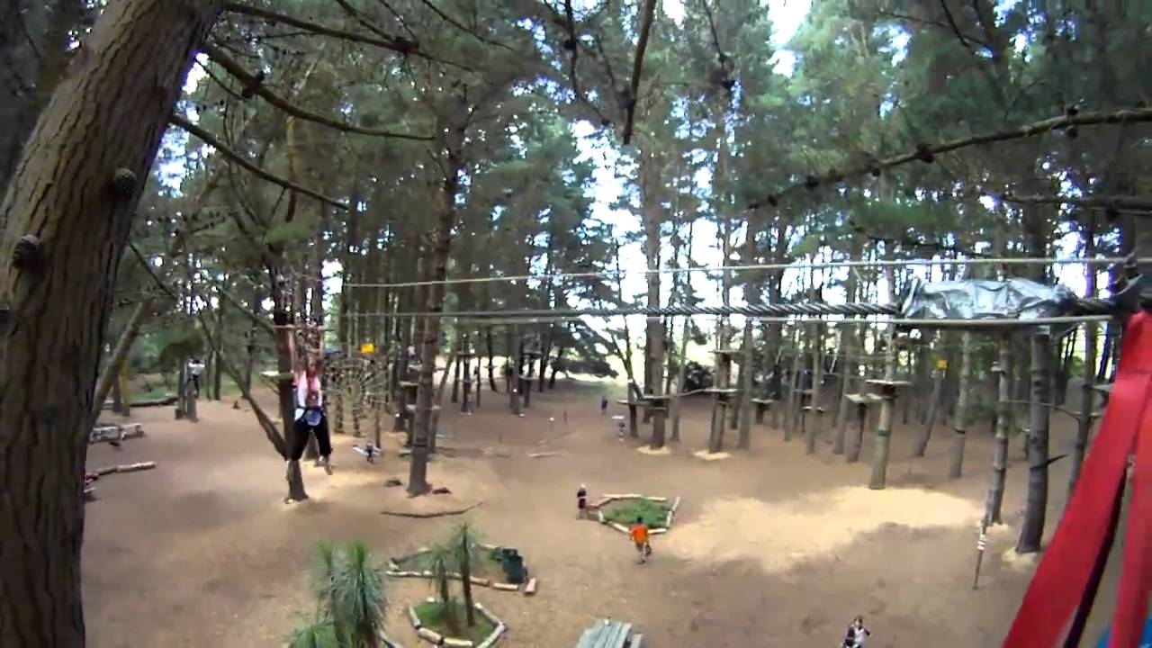 Adrenalin Forest.mp4 - YouTube