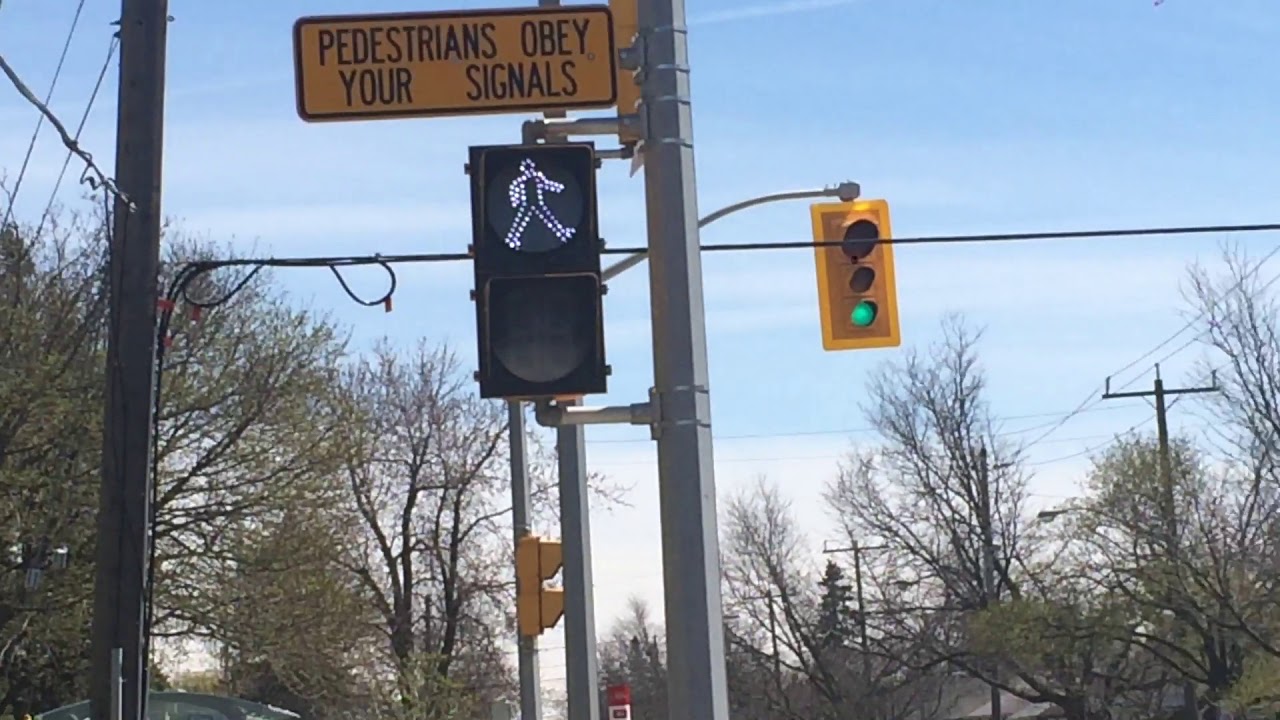 Reused Grooveback Traffic Lights / defective countdown. - YouTube