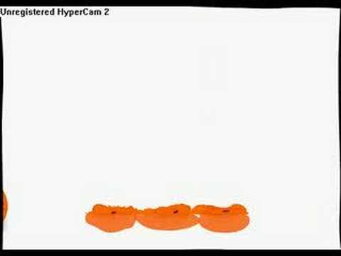 screaming beans - YouTube