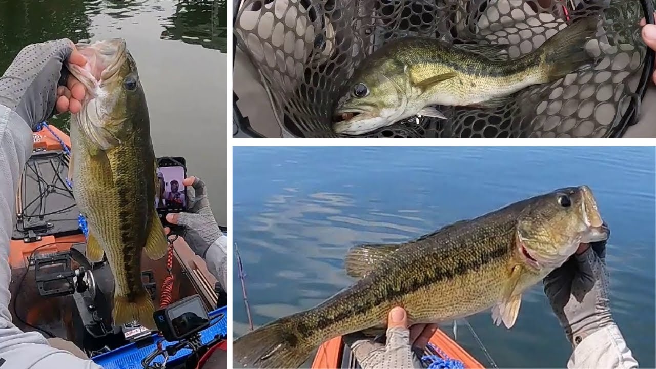 September Monthly Fishing Recap FKA Tournament - YouTube