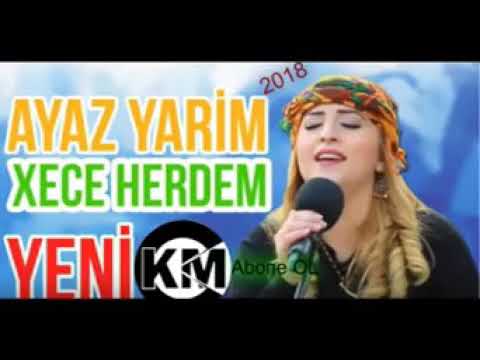 Xece herdem Ayaz yarim