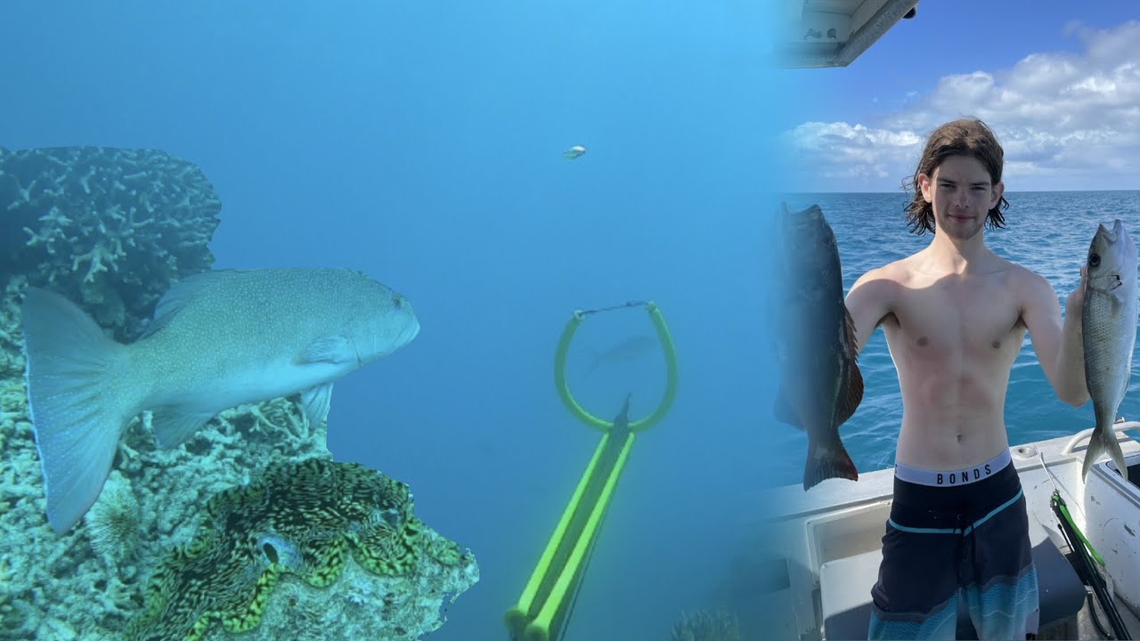 SPEARFISHING, FISHING and EXPLORING the GREAT BARRIER REEF & far north ...