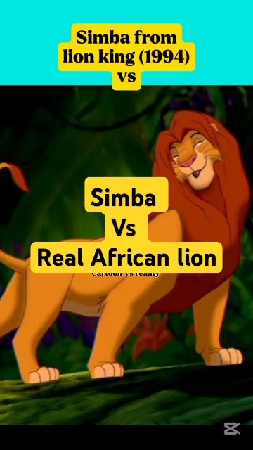 Real Lion vs Simba #Simba #LionKingFacts #RealLions #DisneyAnimals # ...