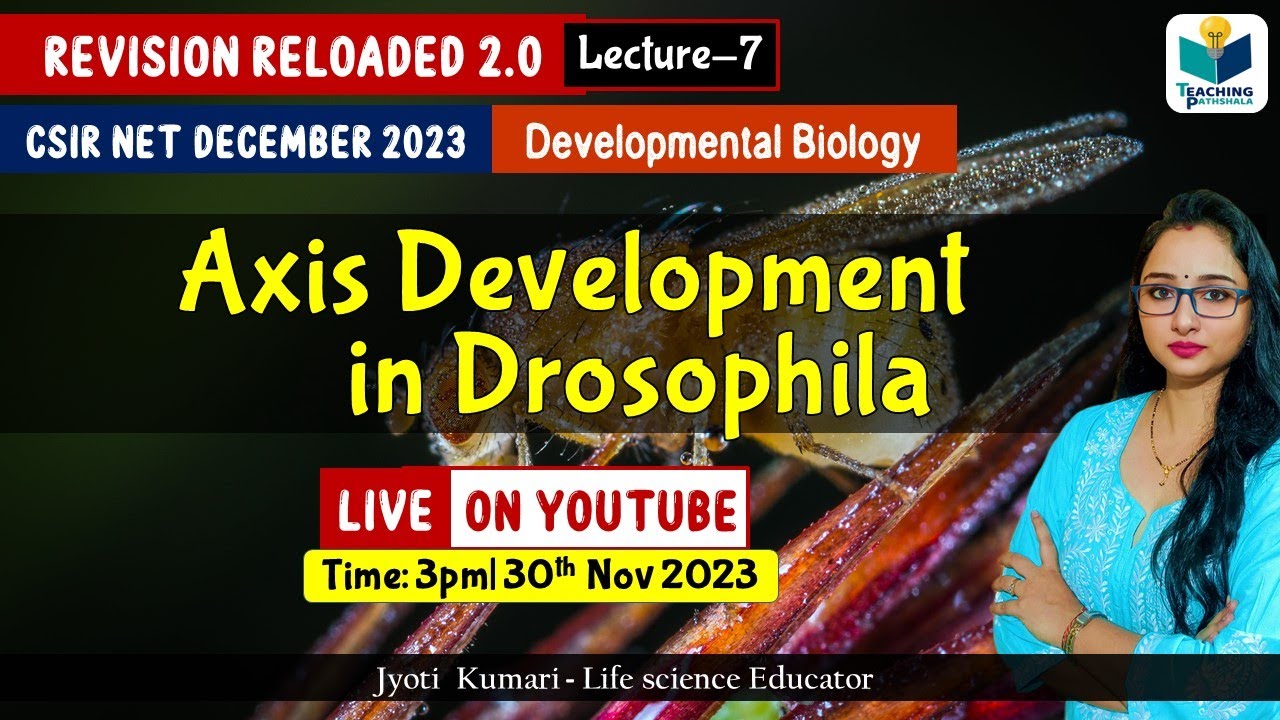 Revision Reloaded 2.0 | Axis Development in Drosophila | CSIR Dec 2023 | Lecture 7 - YouTube
