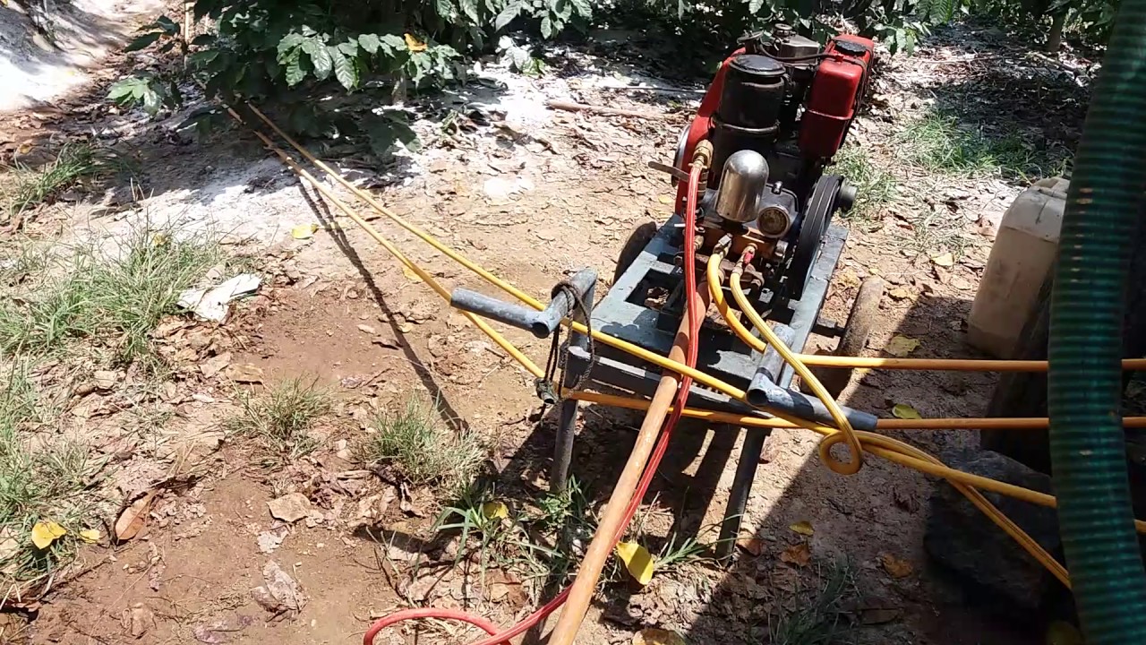 Fungicide And Pesticide Spraying to Arabica Coffee Plantation - YouTube