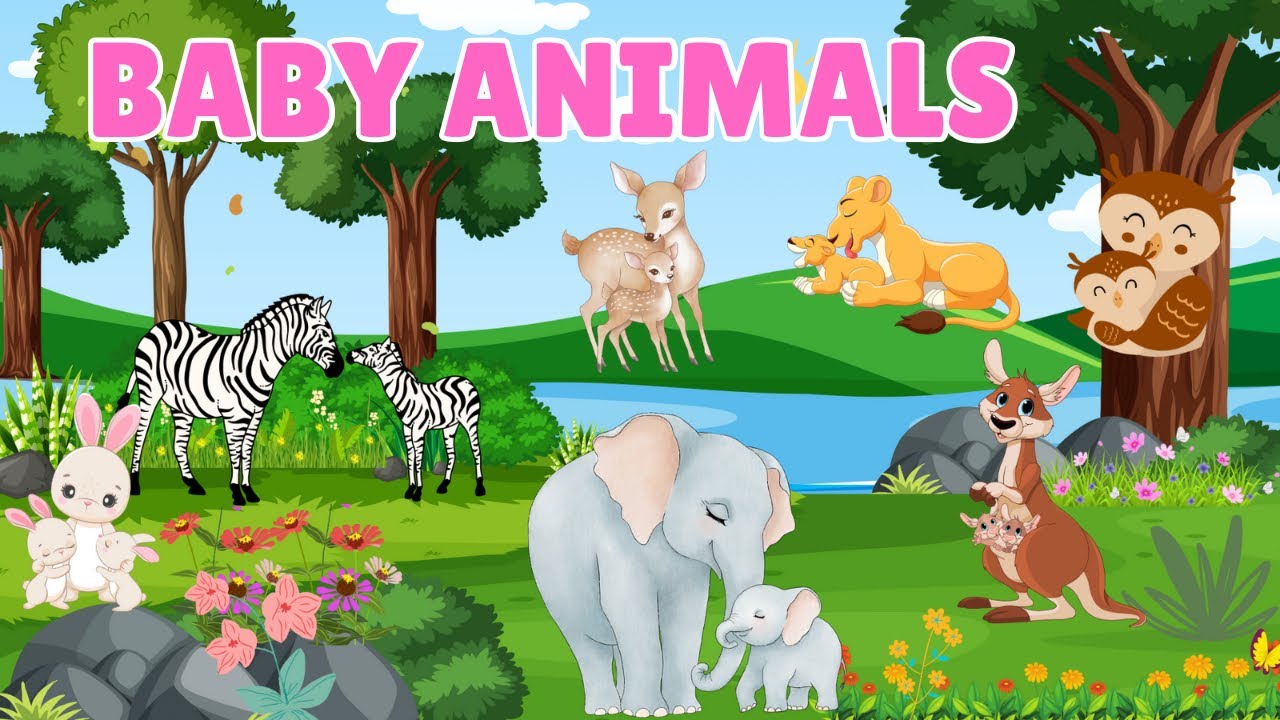 BABY ANIMAL NAMES | Learn Baby Animals for Kids | Kids English ...