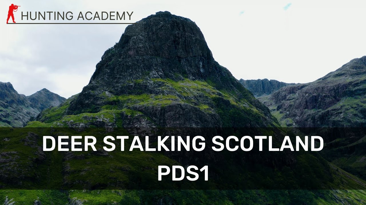 Learn to Hunt Deer in Scotland - YouTube