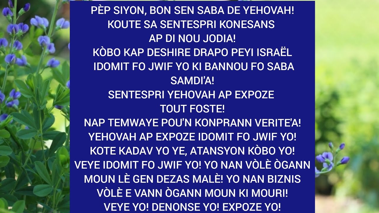 VEYE IDOMIT FO JWIF MESHAN YO!SE MALÈ YO VLE POU NOU! YO PA RENMEN NOU ...