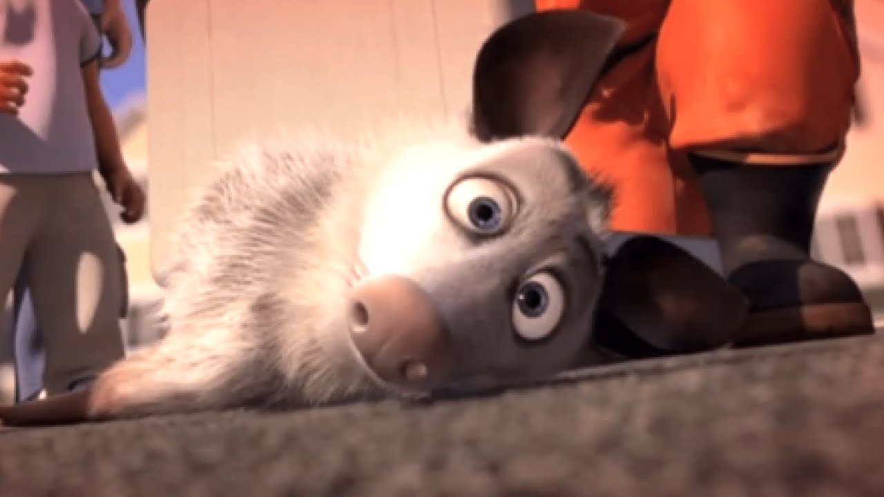 Ozzie (Over the Hedge) - Up All Night (Owl City) - YouTube