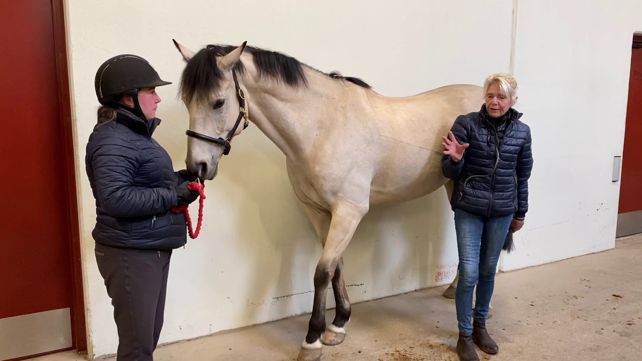 Visitering och daglig tillsyn vet. Eva-Marie Levin och Natasha ...