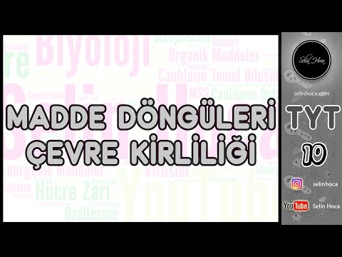 17) Madde Döngüleri - Çevre Kirliliği
