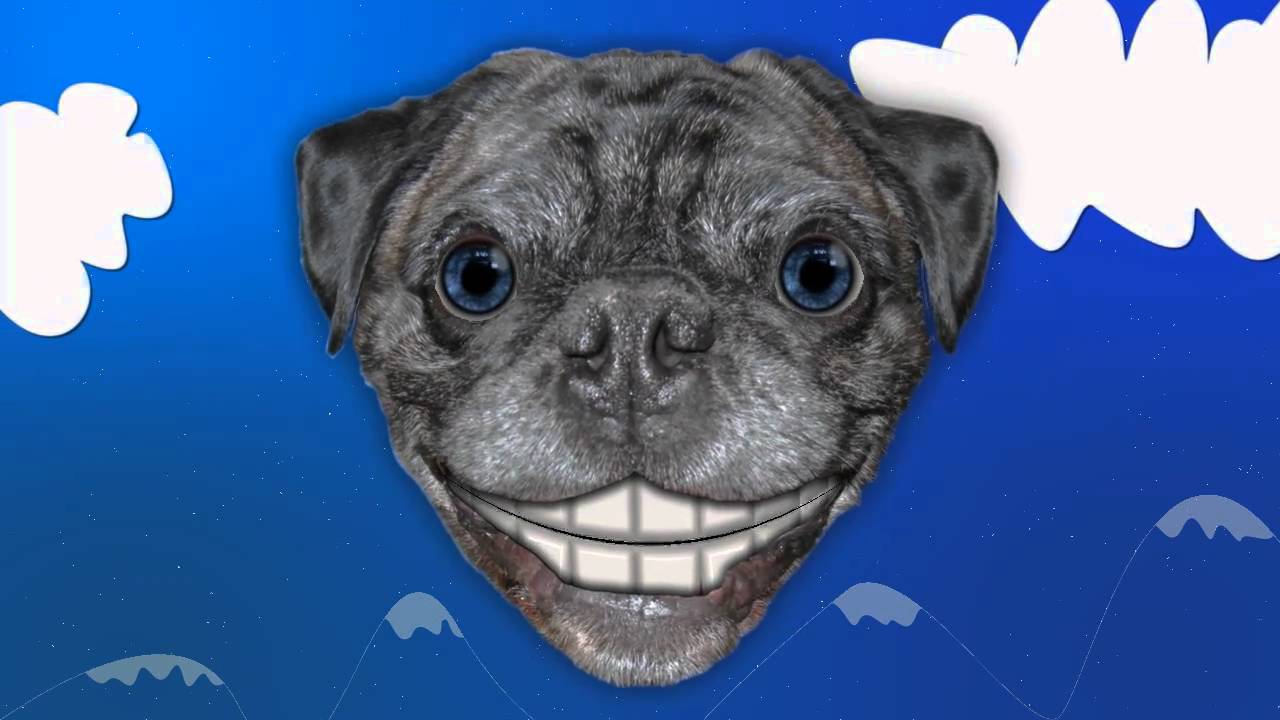 Twinkle Twinkle Little Star - YouTube