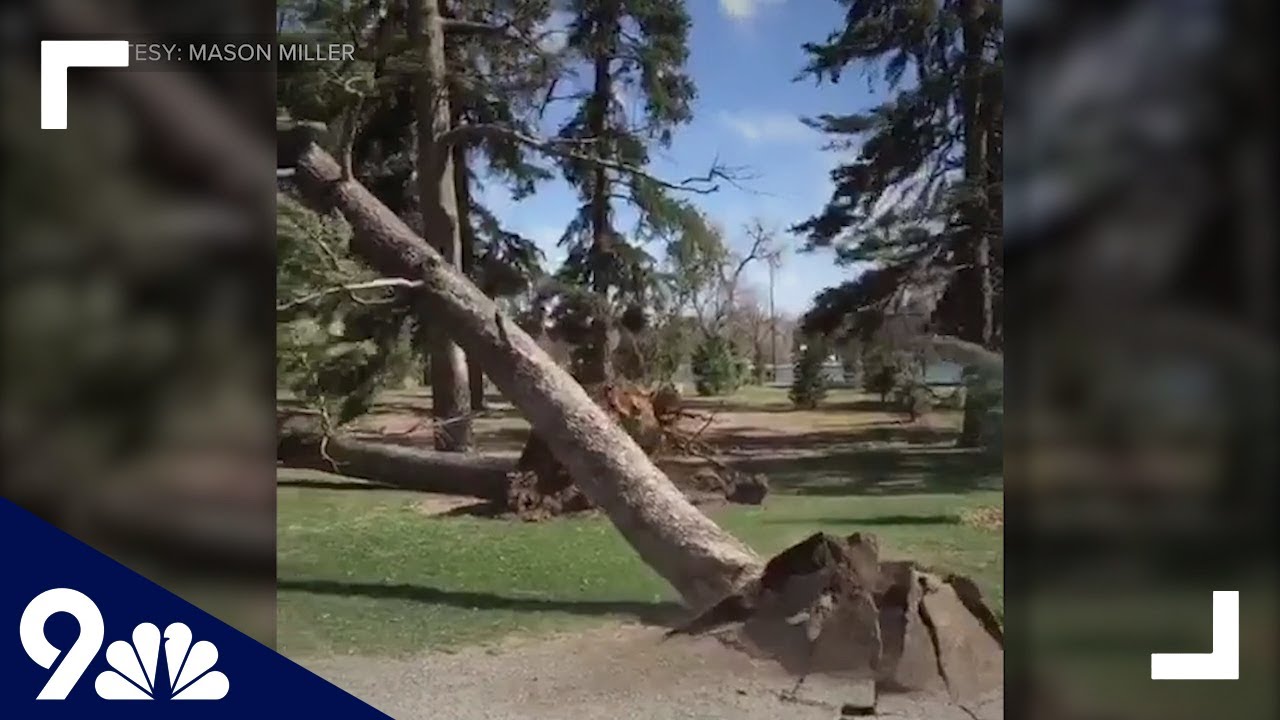 Crazy videos show strong winds in Colorado - YouTube