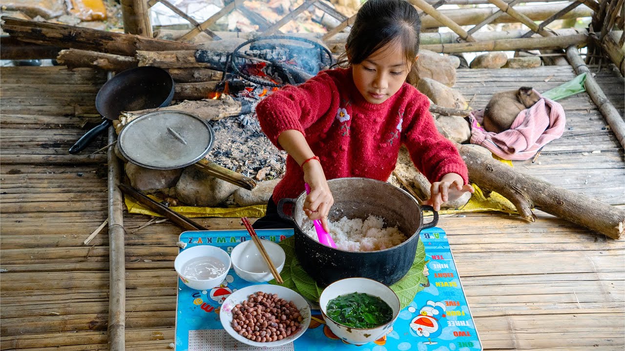 Surviving in the Forest: Poor Girl takes care of poor dog and new life ...