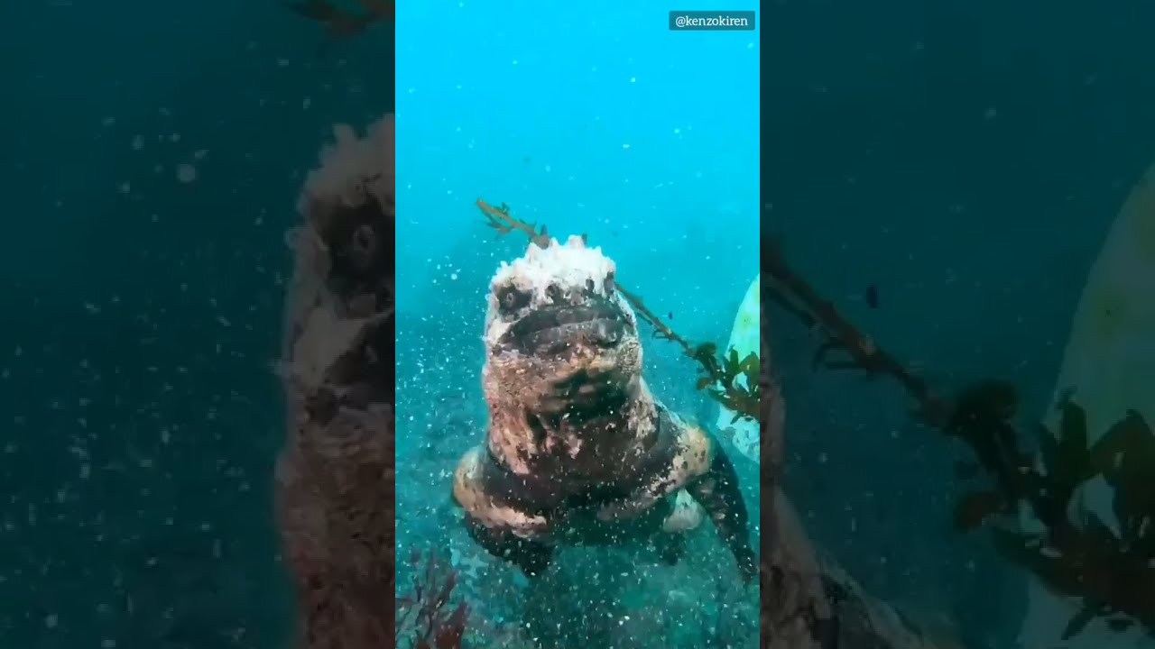 Real Life Godzilla found in ocean | Godzilla like giant Lizard | Marine ...