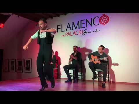 Bailaor: David Córdoba • Tablao Flamenco en Palacio • Granada